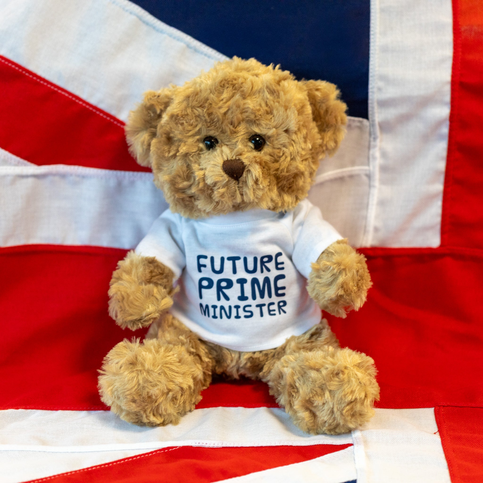 Future Prime Minister Teddy (Blue) – The Conservative Party Shop